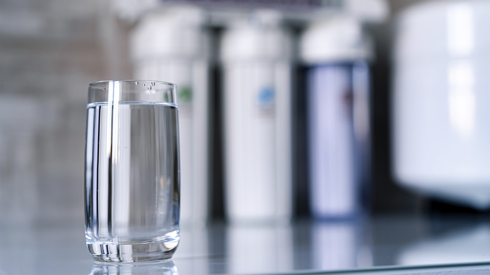 Understanding EPCOR Water Quality Reports